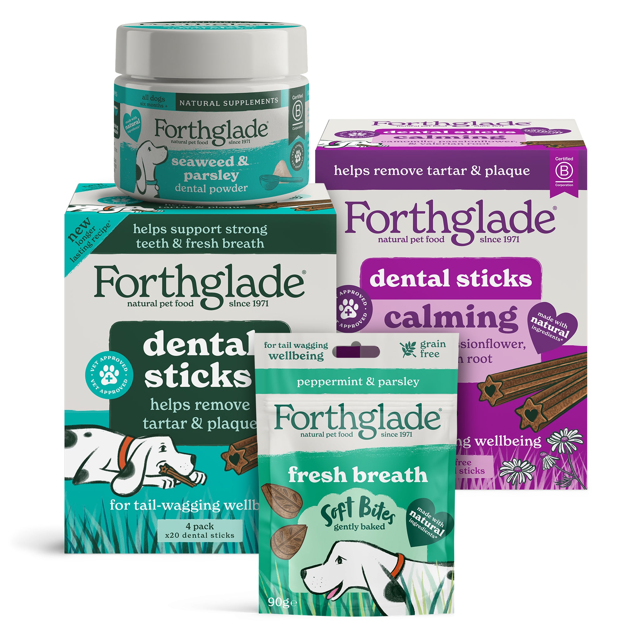 Dental Routine Bundle | Forthglade