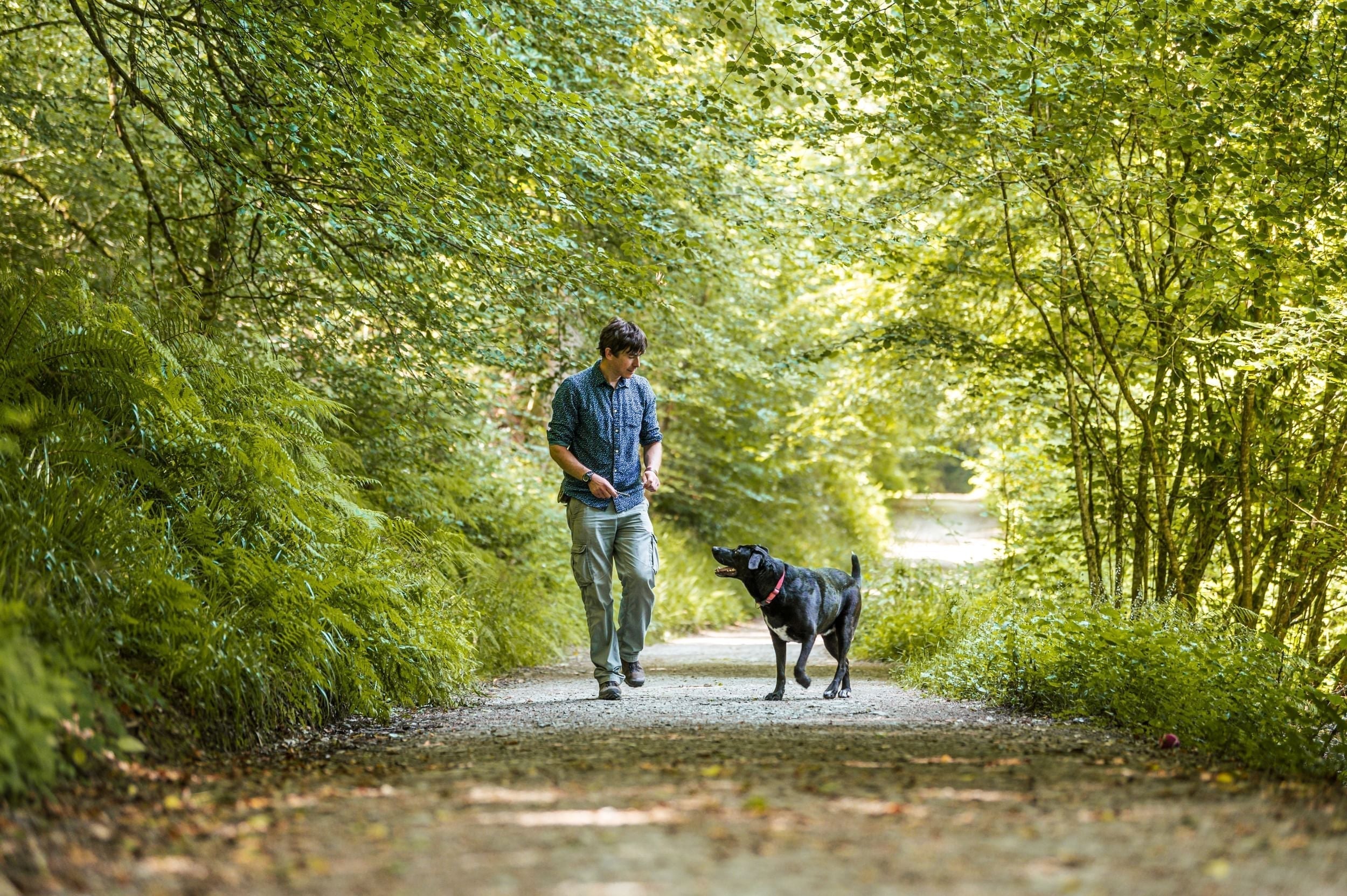 Soft Dog Poop: How to Firm Up Dog Poop | Forthglade