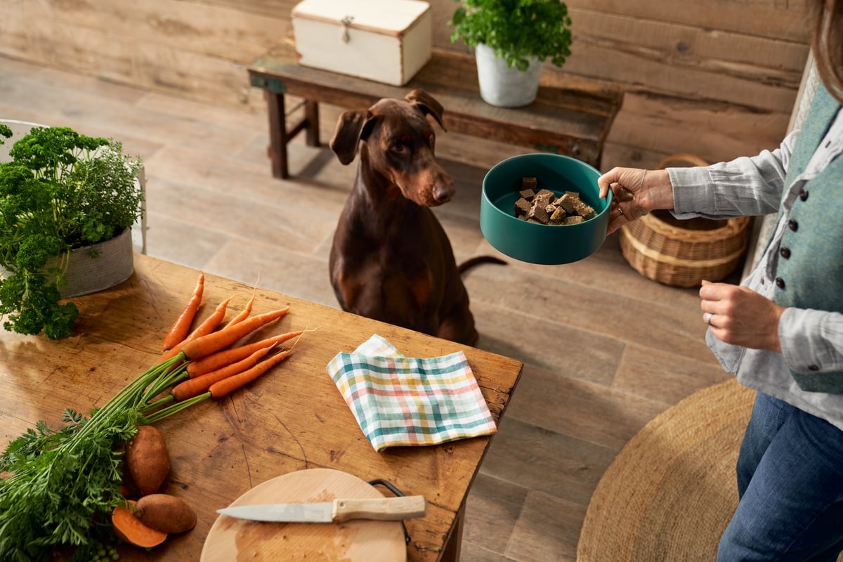 New Dog Food Recipes | Forthglade