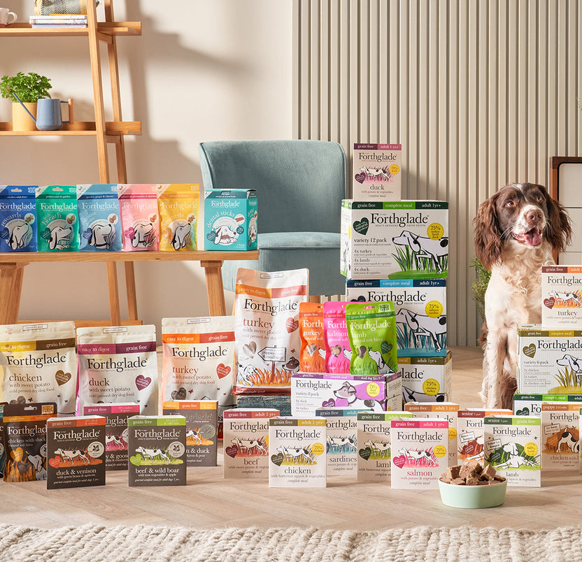 Adult Natural Dog Food & Treats | Forthglade