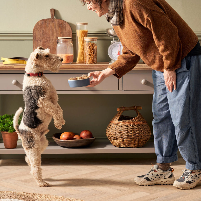 What Is Complete Dog Food? All You Need to Know | Forthglade