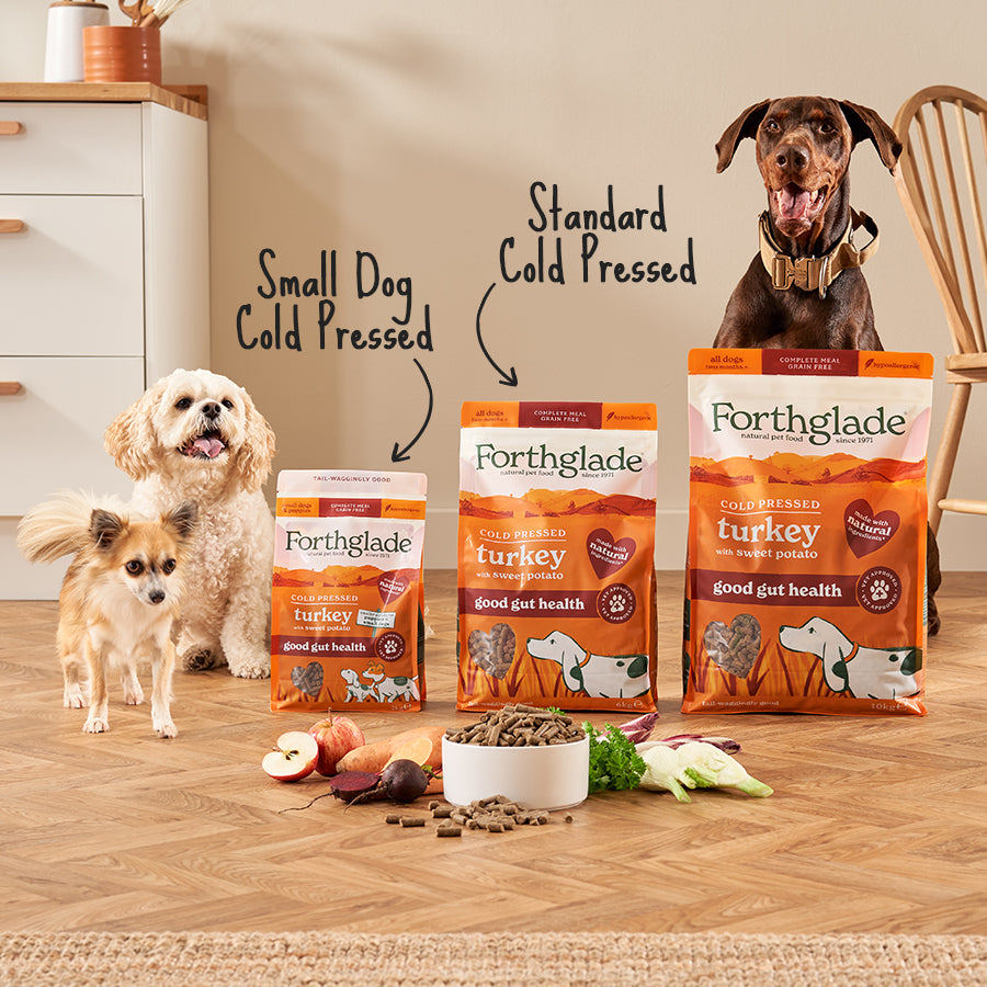 Food for dogs store